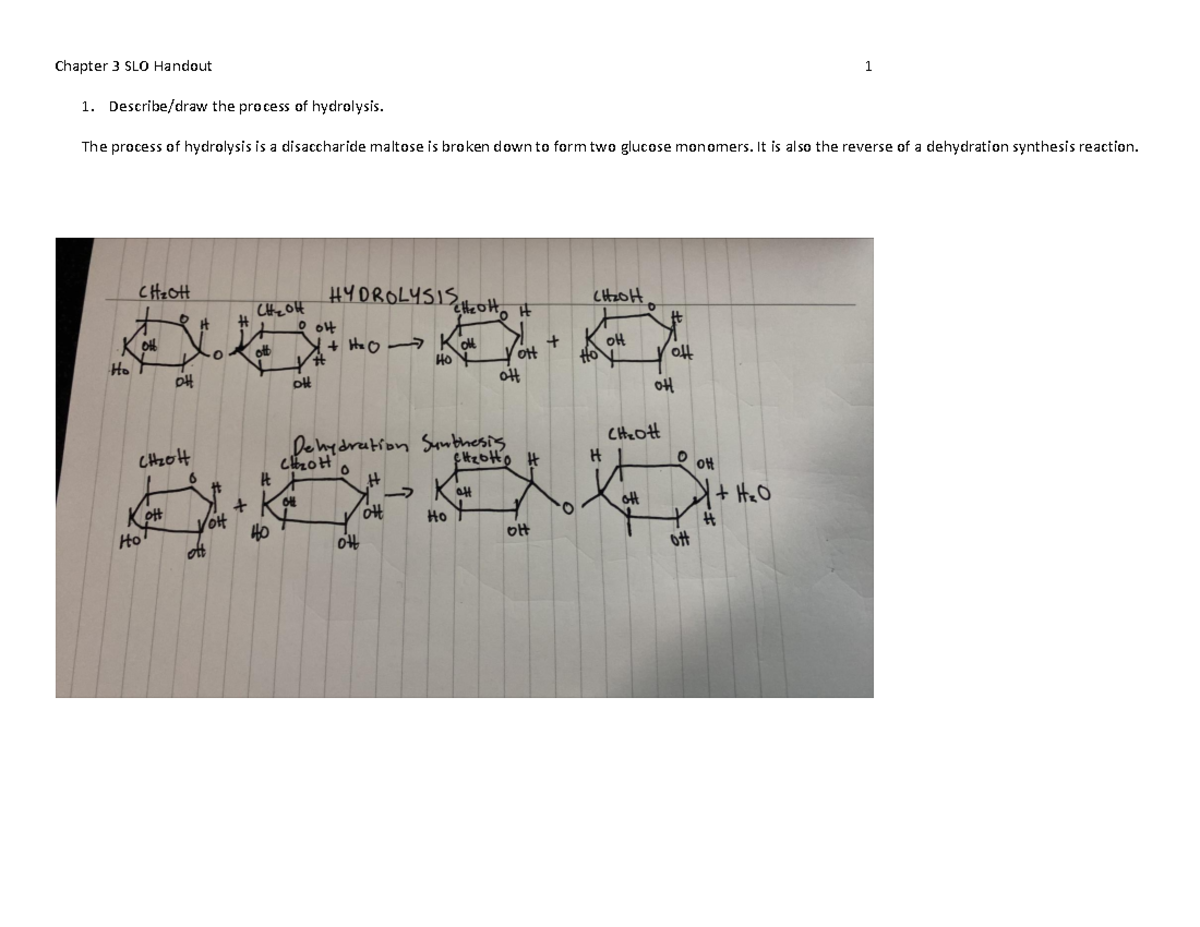 Lesson 3 Ch 3 SLOs - SLOS - Describe/draw the process of hydrolysis ...
