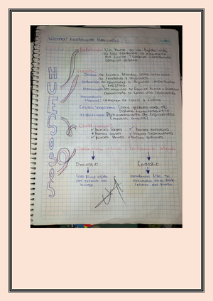 IDA. Posiciones Anatomicas - Posición Genupectoral: el paciente se ...