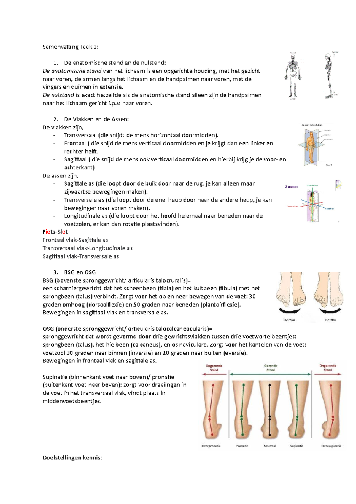 Samenvatting Taken 1,2,3 - Samenvatting Taak 1: De anatomische stand en ...