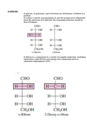 Fischer Projection Formulas - T he conventions that connect these model ...