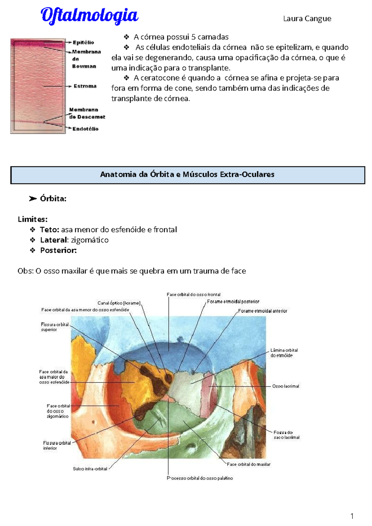 Oftalmalogia - Resumo Oftalmo - semio 3 - Oftalmologia Laura Cangue A córnea possui 5 - Studocu
