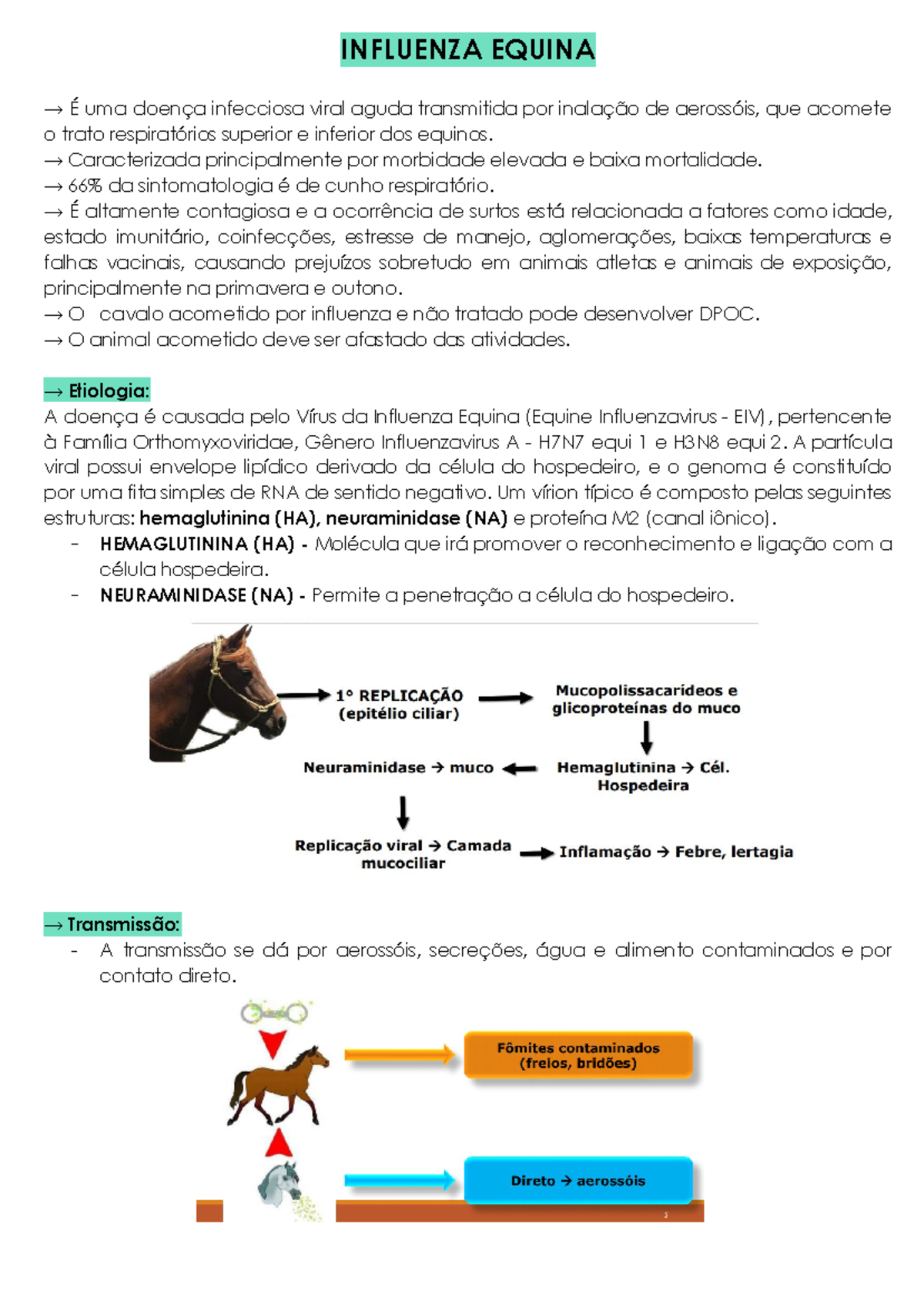 Influenza Equina - INFLUENZA EQUINA → É uma doença infecciosa viral ...