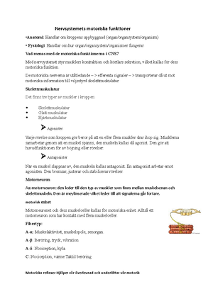 Sensoriska nervsystemet - Sensoriska nervsystemet Sensoriska ...