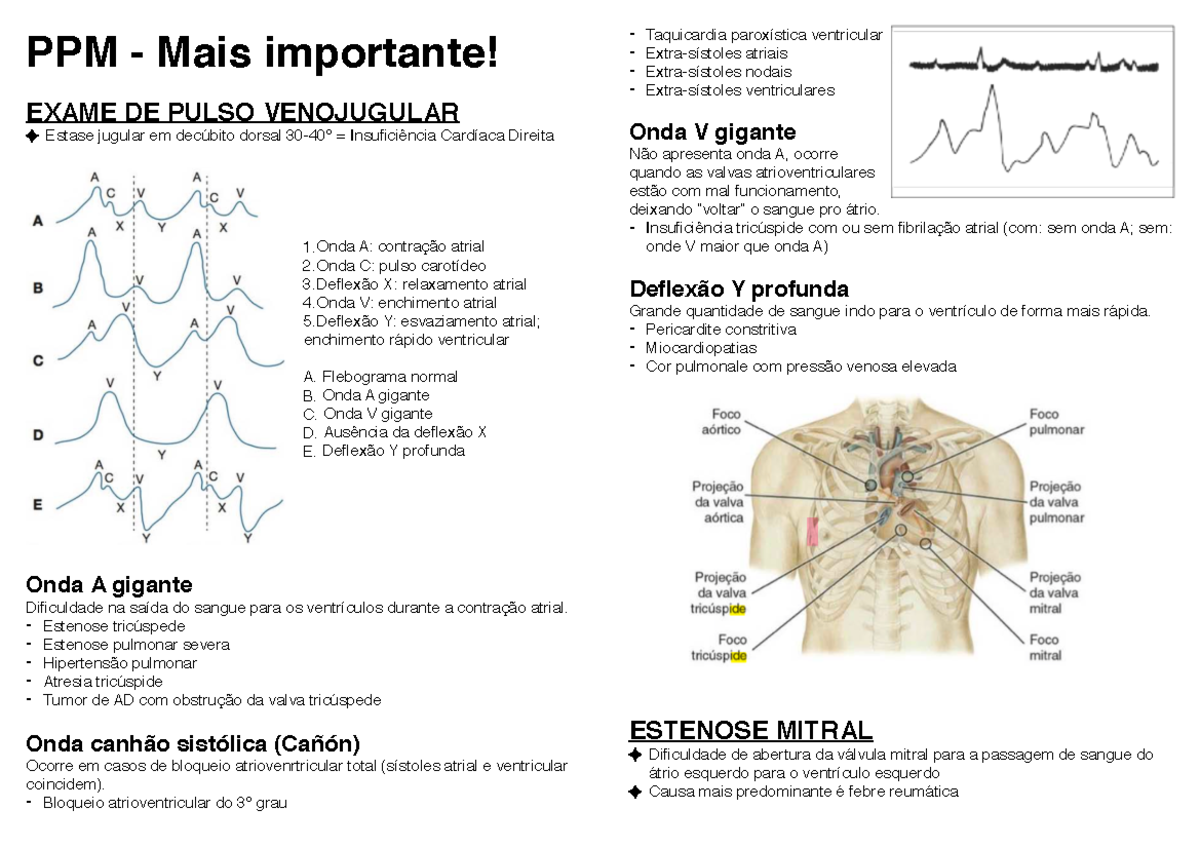 Resumo PPM A1 Unoeste - PPM Mais importante! EXAME DE PULSO VENOJUGULAR ...