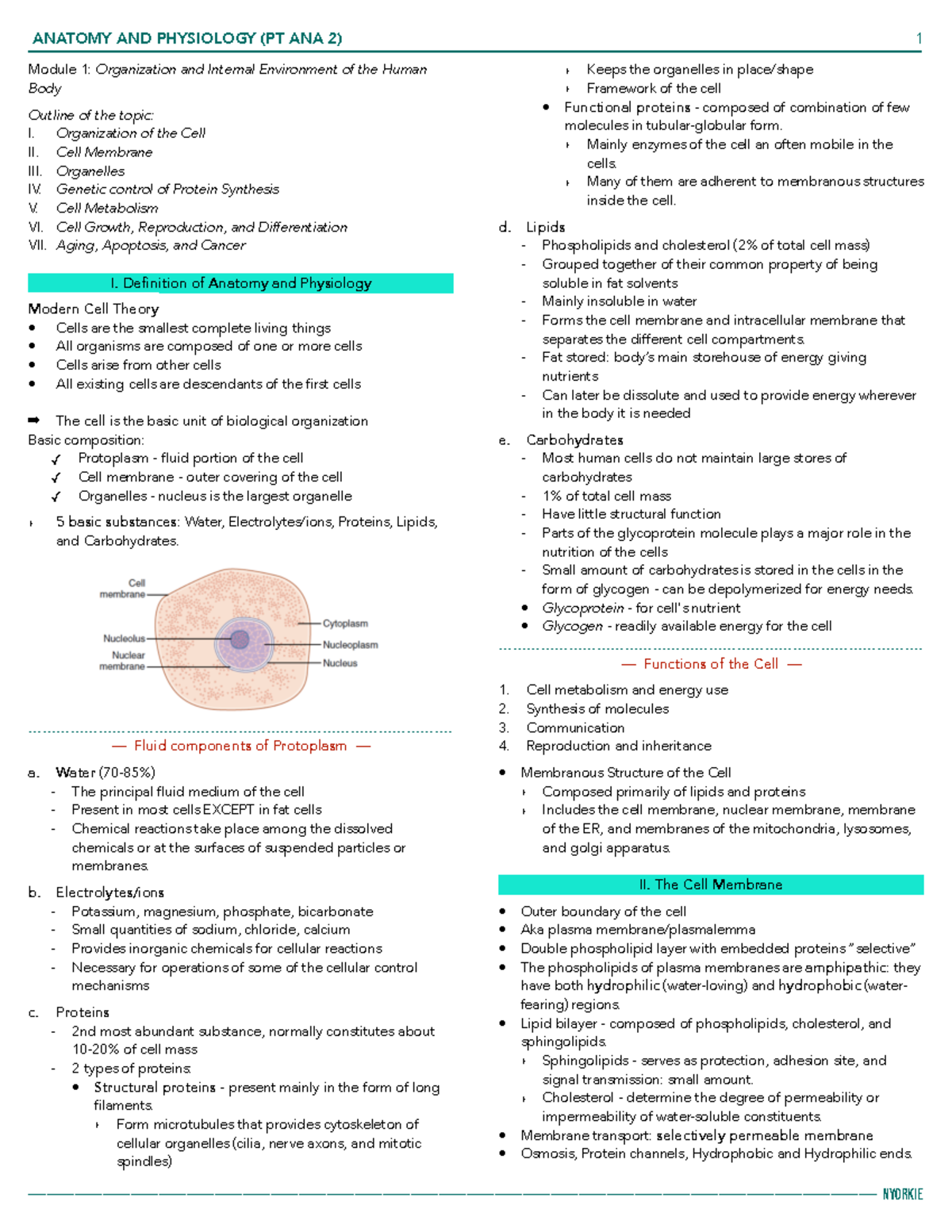 ANA2 - Module 2 - Cell Structure and Physiology - - Studocu
