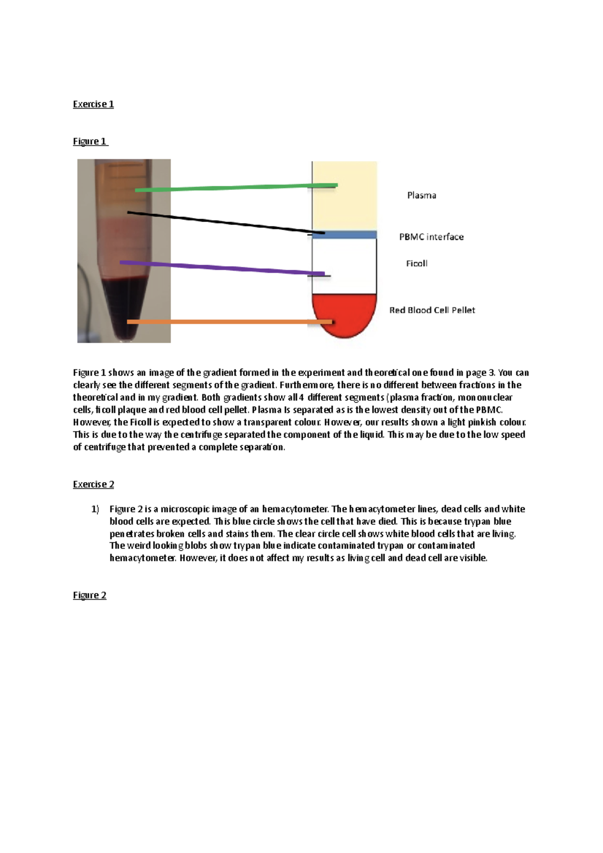 Lab Assignment Blood - Exercise 1 Figure 1 Figure 1 shows an image of ...