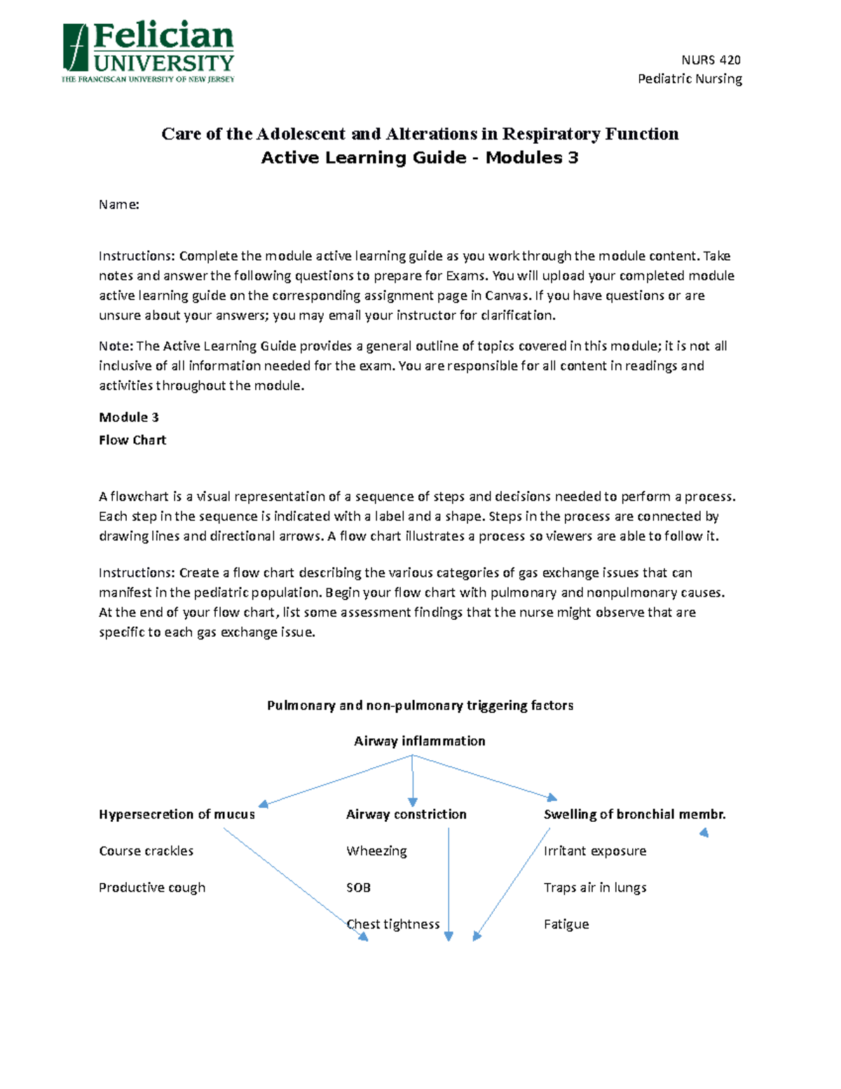 Care of the Adolescent and Alterations in Respiratory Function - Active Learning Guide - Module ...