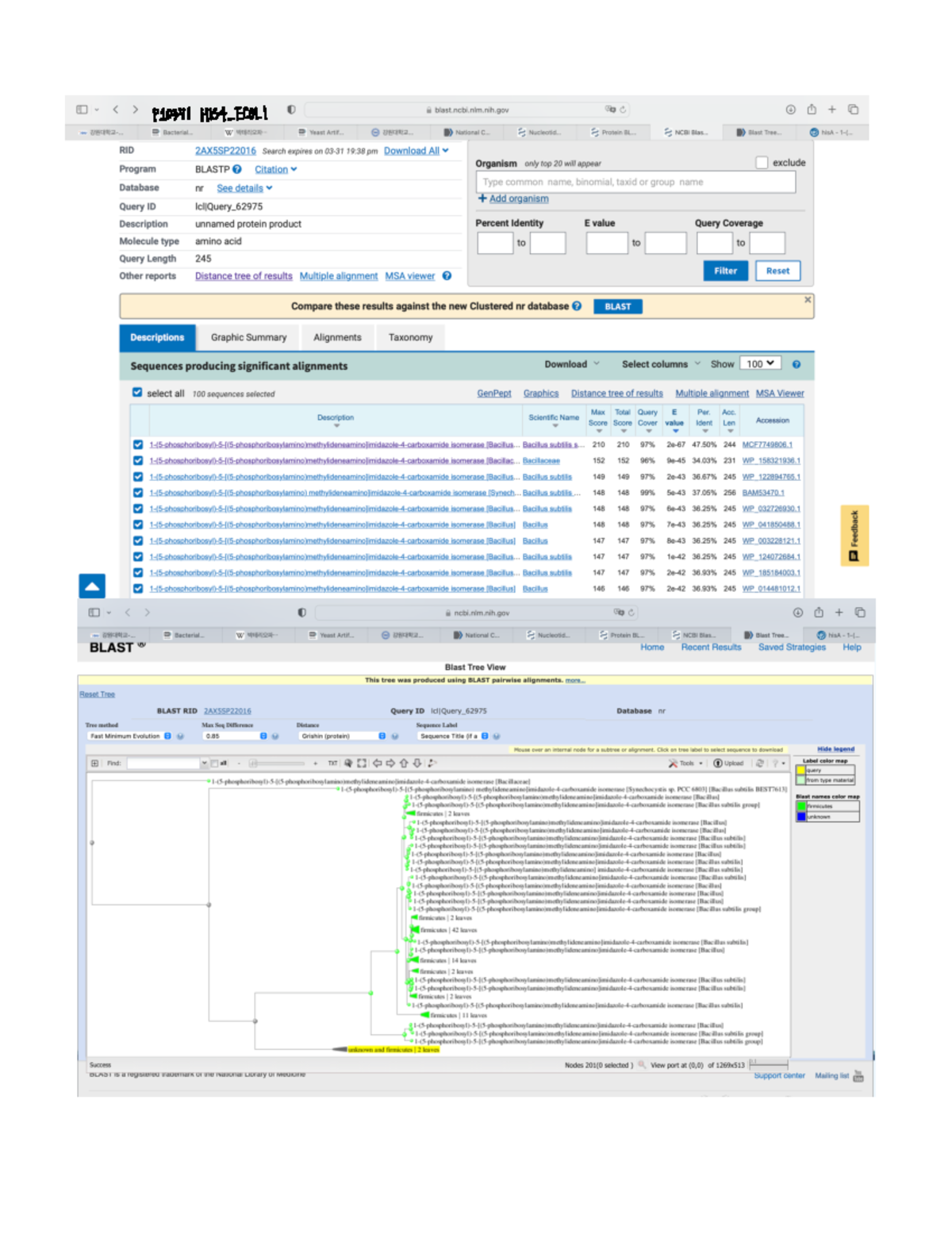 생물정보학 과제 - BLAST - Bioinformatics - Studocu