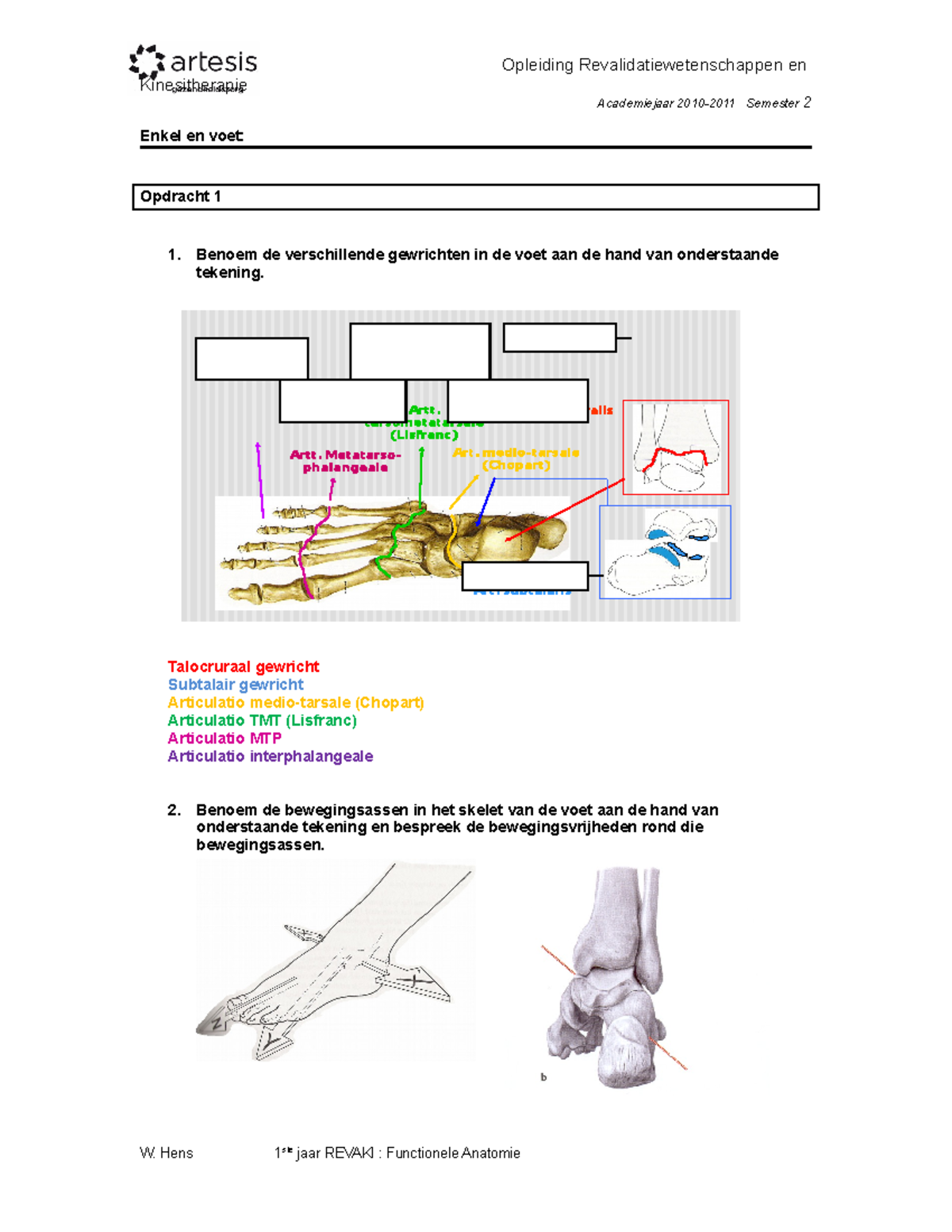 Anatomie 2-Functionele Enkel - Opleiding Revalidatiewetenschappen en ...