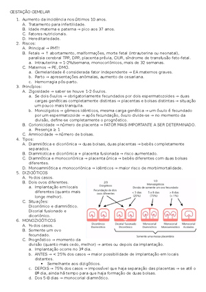 Mecanismo do Parto e Planos de De Lee - MECANISMO DO PARTO E PLANOS DE ...