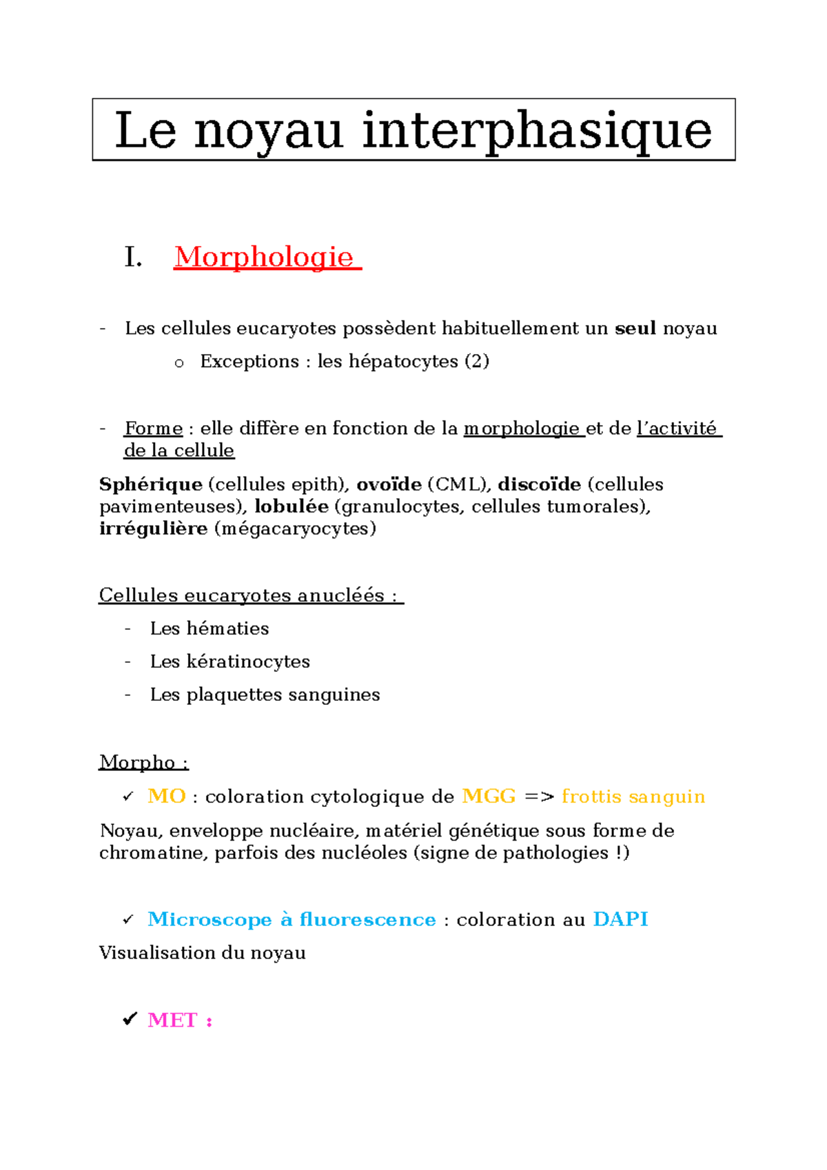 Le noyau en interphase - cours - Le noyau interphasique I ...