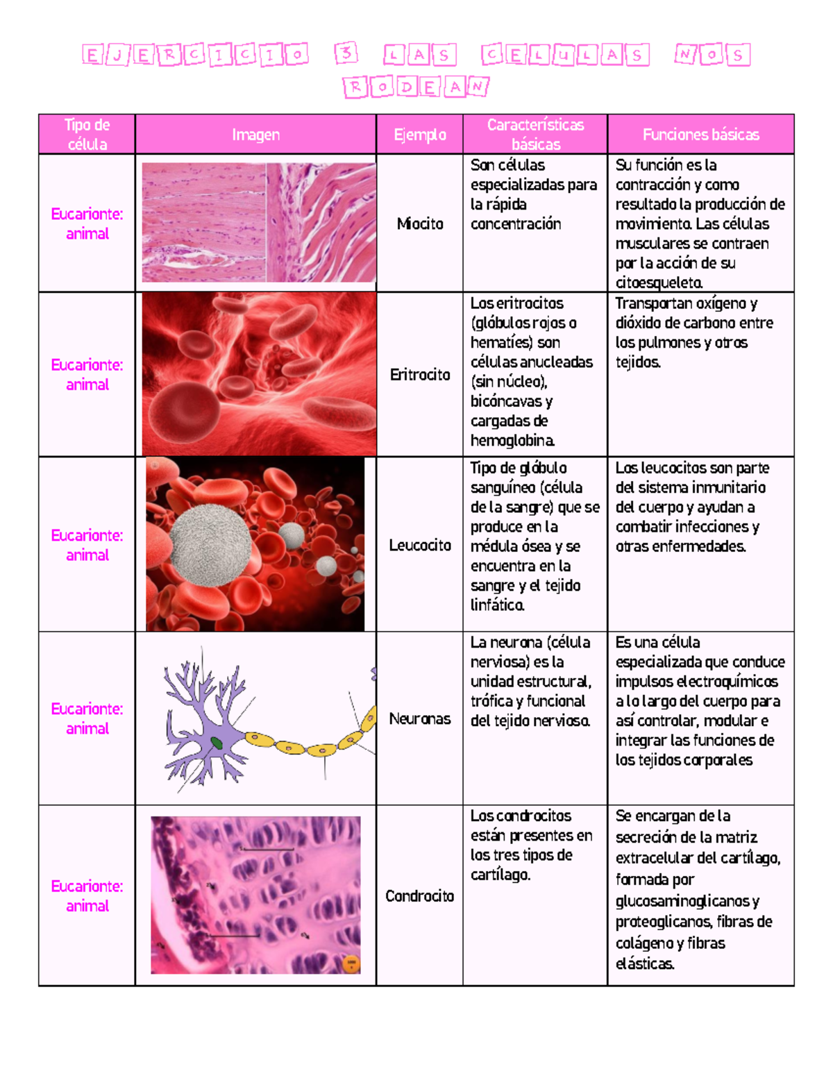 Ejercicio 3 Las Celulas nos rodean - Las cÈlulas musculares se contraen ...