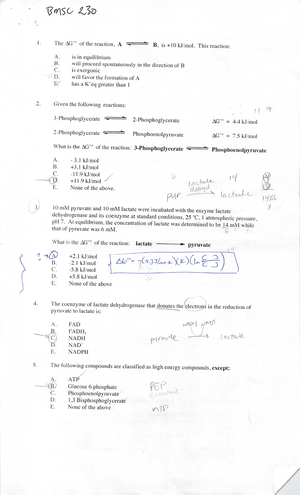 Bmsc 230 module 5 flashcards - Study online at quizlet/_bpczdi glycogen polymer of glucose ...