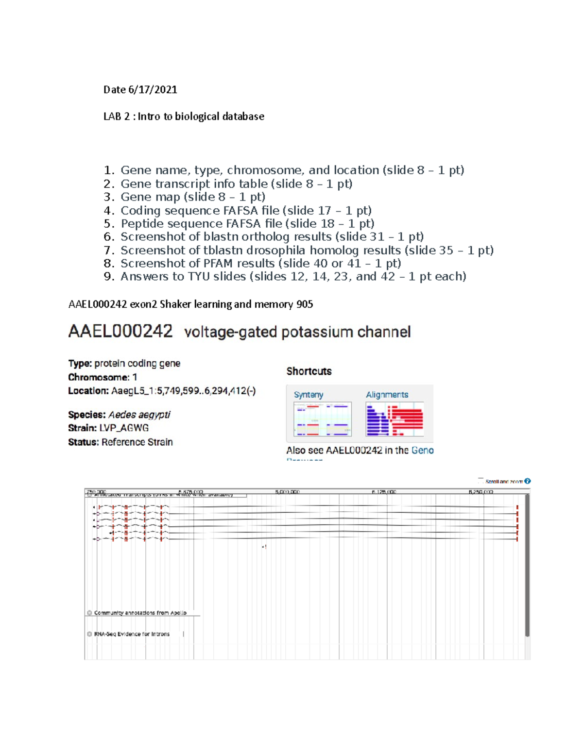 Genetics LAB 2 report presentation - Date 6/17/ LAB 2 : Intro to ...