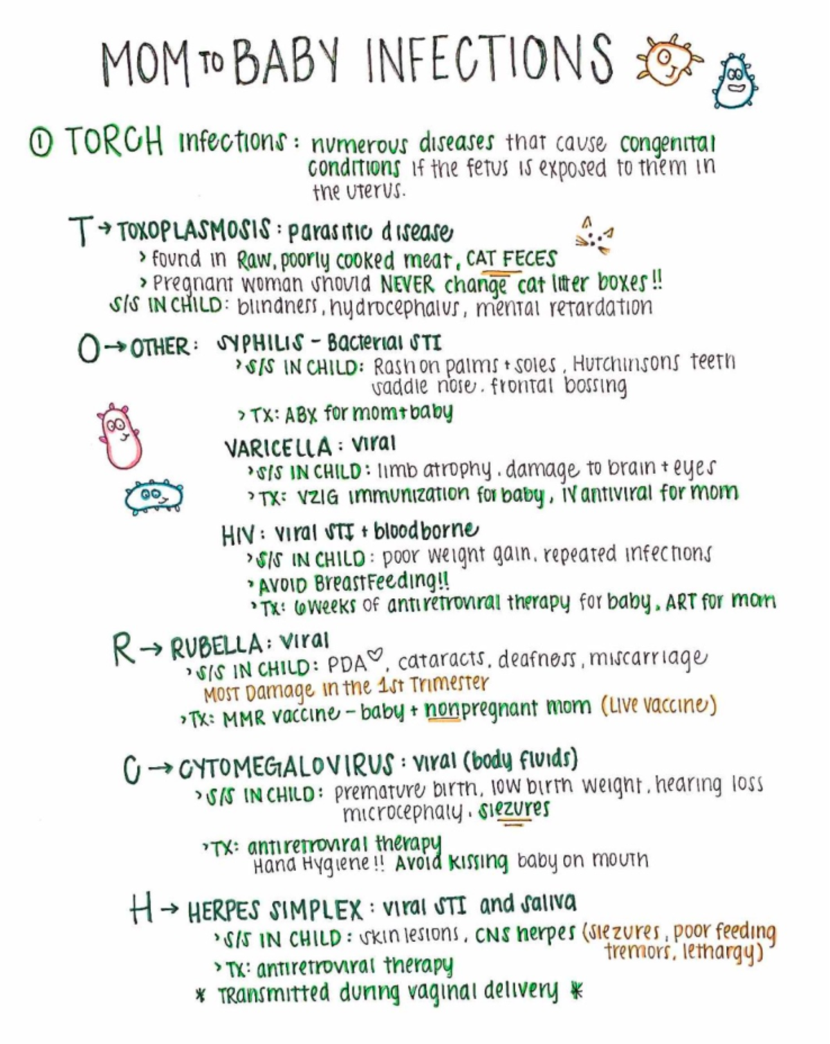 Mom to Baby Infx 1 - Infections - MOM TO BA INFECTIONS I TORCH ...