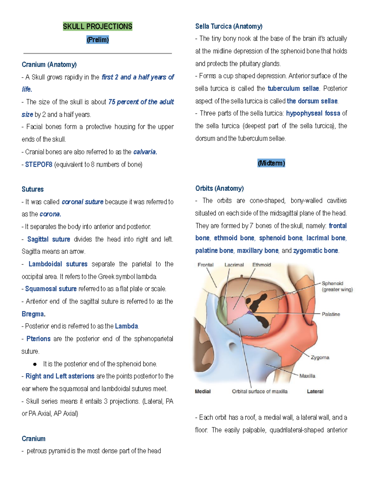 Addlt. Notes (Rad Posi 2; Skull) - SKULL PROJECTIONS (Prelim) Cranium ...