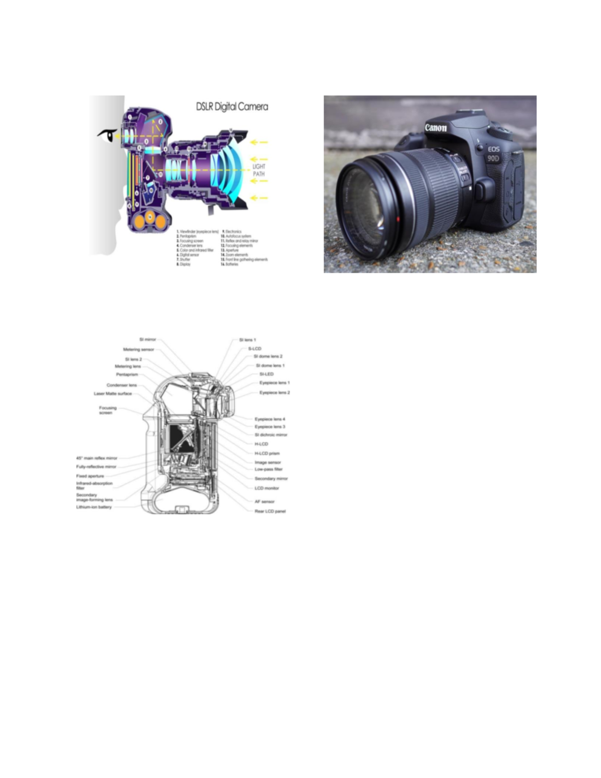 Letter to Councils - DSLR Digital Camera Canon EOS 90D LIGHT PATH 1 ...