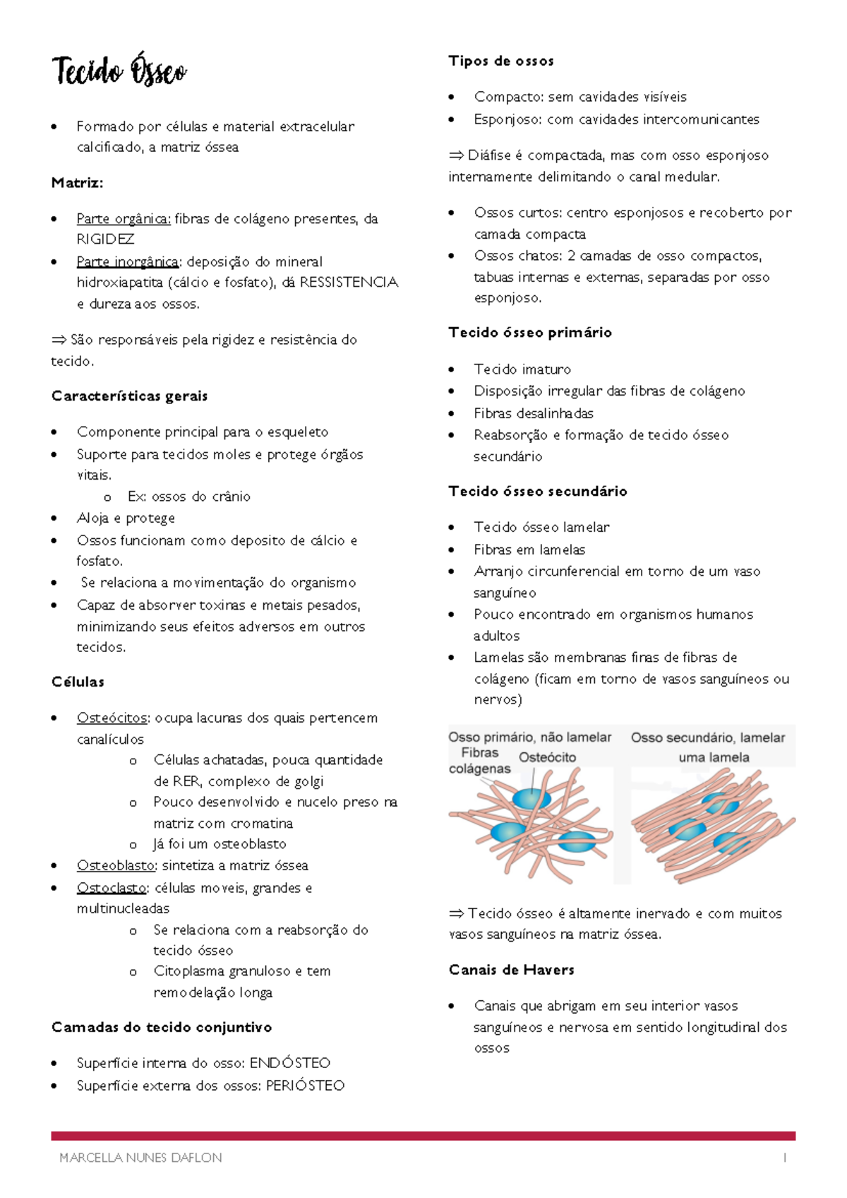 Tecido osseo - Resumo Histologia - MARCELLA NUNES DAFLON 1 Tecido Ó ...
