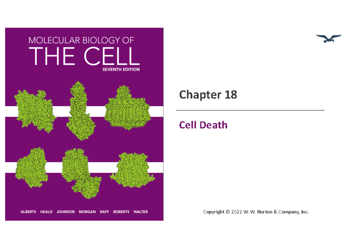 Bio310-Chp18-7th Ed - BIO310 Slides from the book "The Cell" - Chapter ...