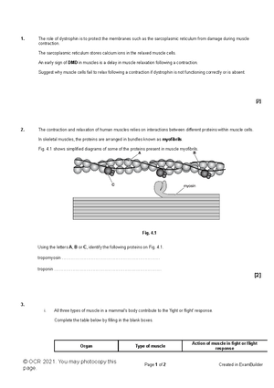Unit-1-Revision-Guide compressed - BTEC Applied Science Unit 1 Revision ...