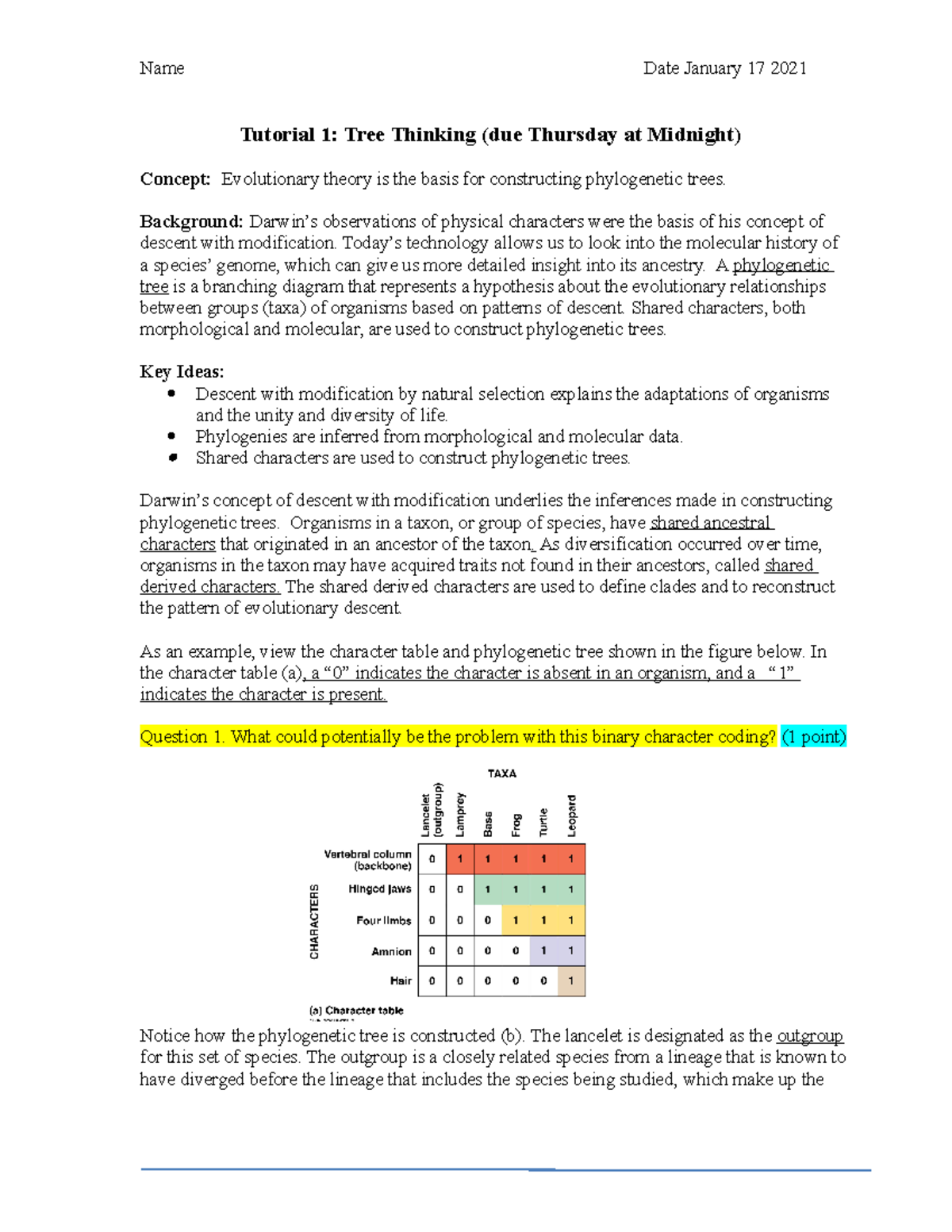 Bio 103 Phylogenetic Trees - Name Date January 17 2021 Tutorial 1: Tree Thinking (due Thursday ...