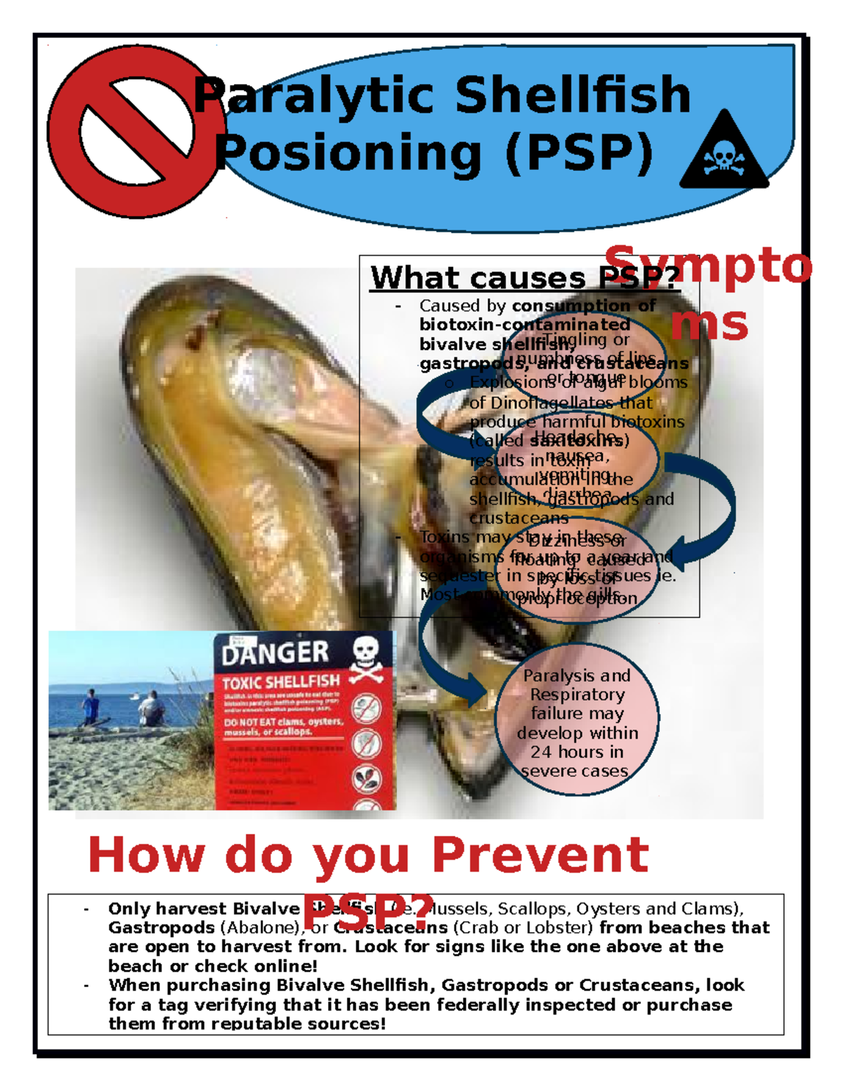 PSP Poster - Food 2010 - Assignment 2 - Paralytic Shellfish Posioning ...