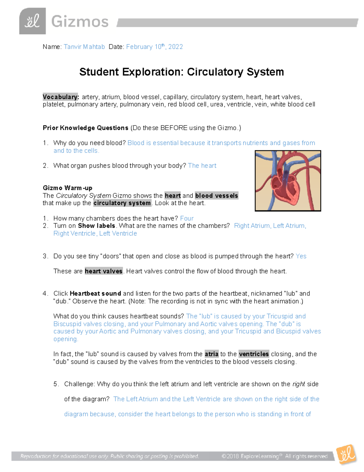 Circulatory System Lab Questions ( Handin)(1) (2) Finale - Name: Tanvir ...
