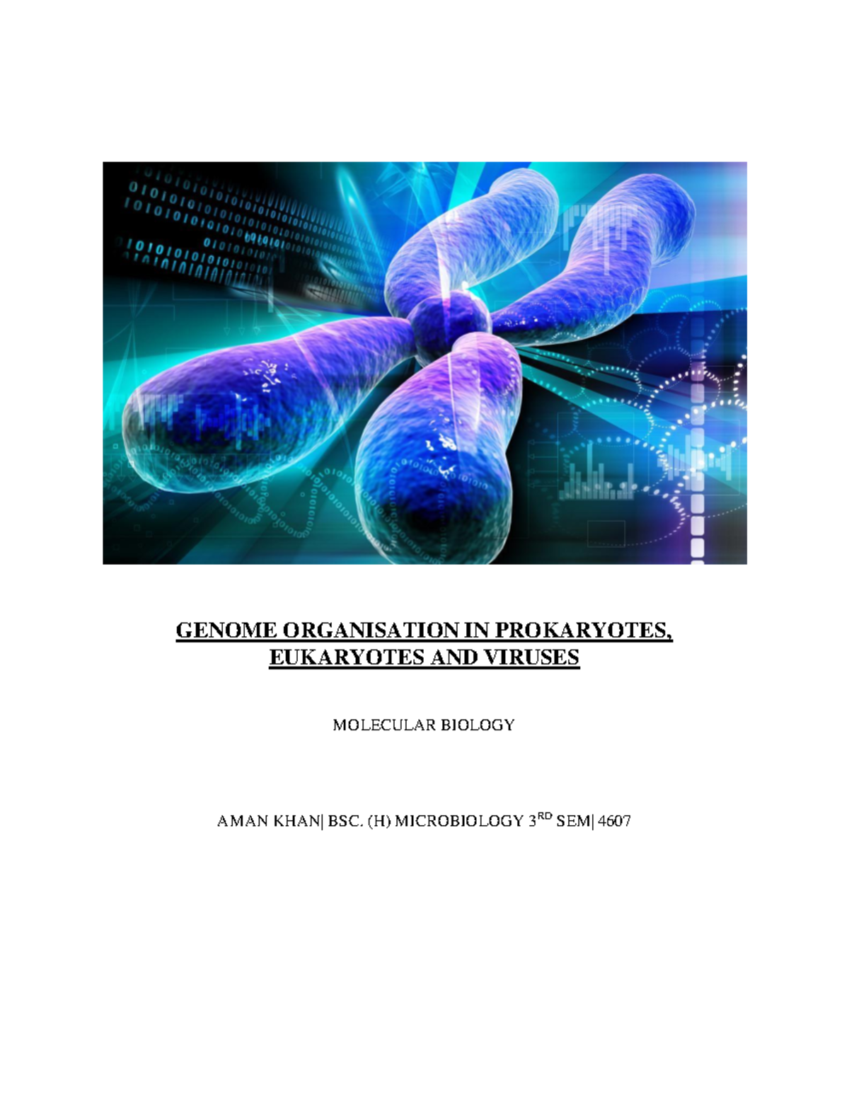 Mol Bio Asgt - Overview of diffrent genome structures. - GENOME ...