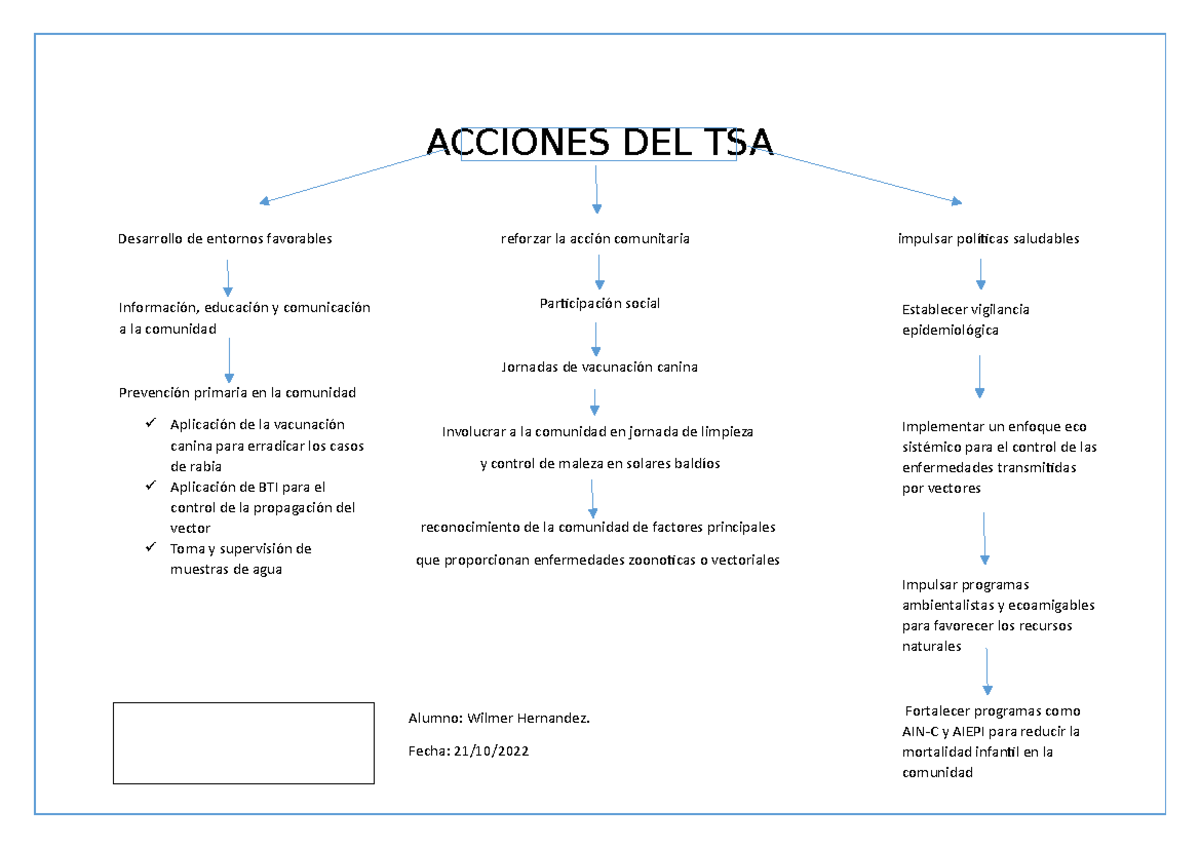 Acciones DEL TSA Flujograma - ACCIONES DEL TSA Desarrollo de entornos favorables reforzar la ...