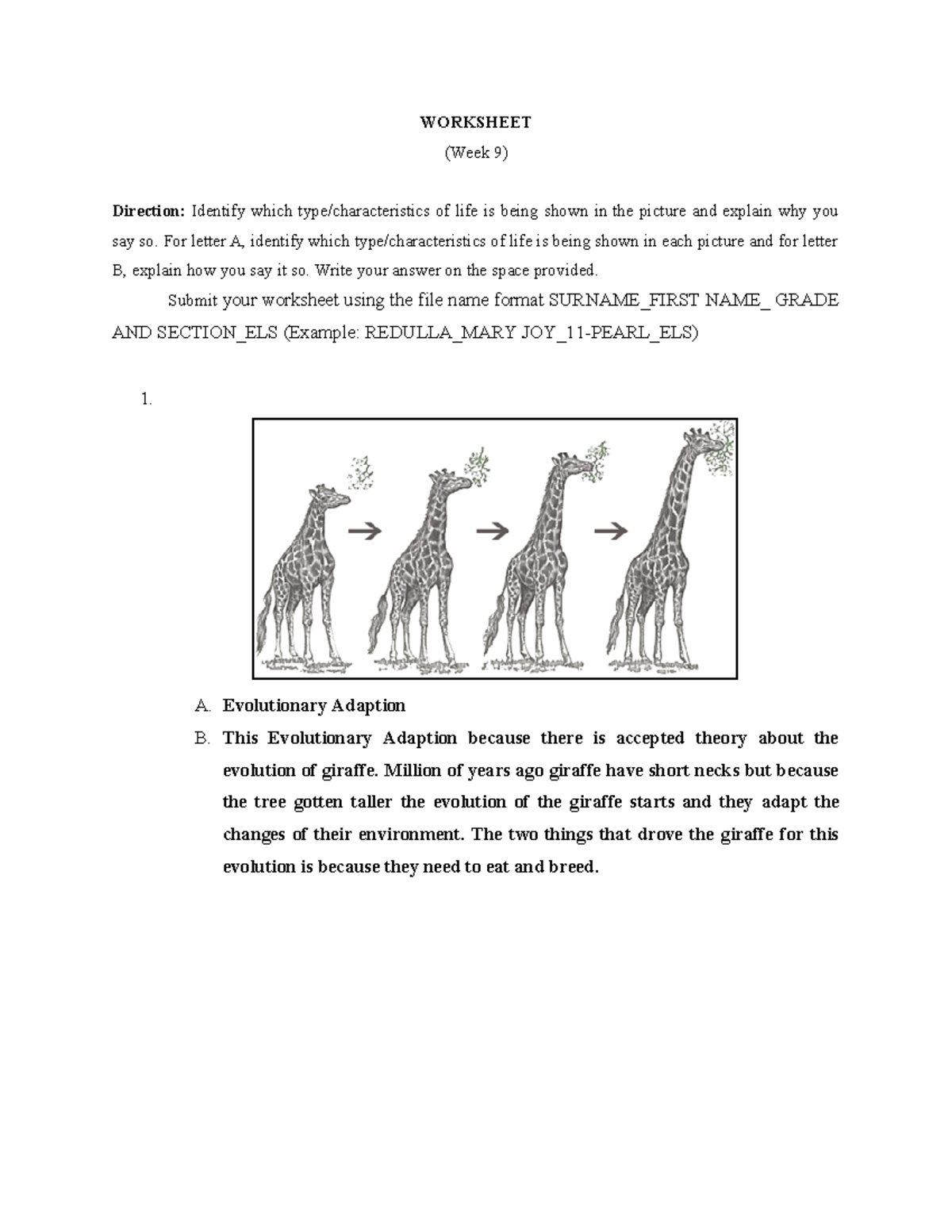 Week 9 - WORKSHEET (Week 9) Direction: Identify which type ...