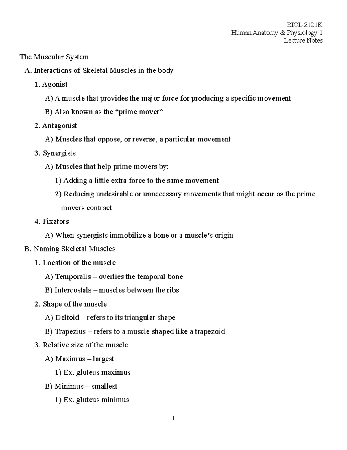 2021 BIOL2121K Lecture Notes Muscular System Notes 6B - Human Anatomy ...