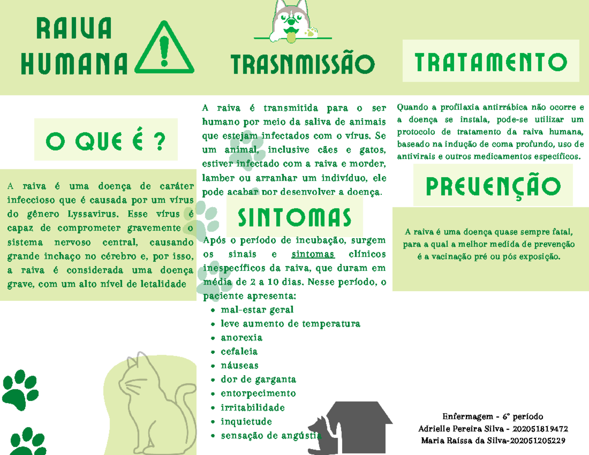 Folders DE Micro - TRASNMISSÃO RAIVA HUMANA A raiva é uma doença de ...