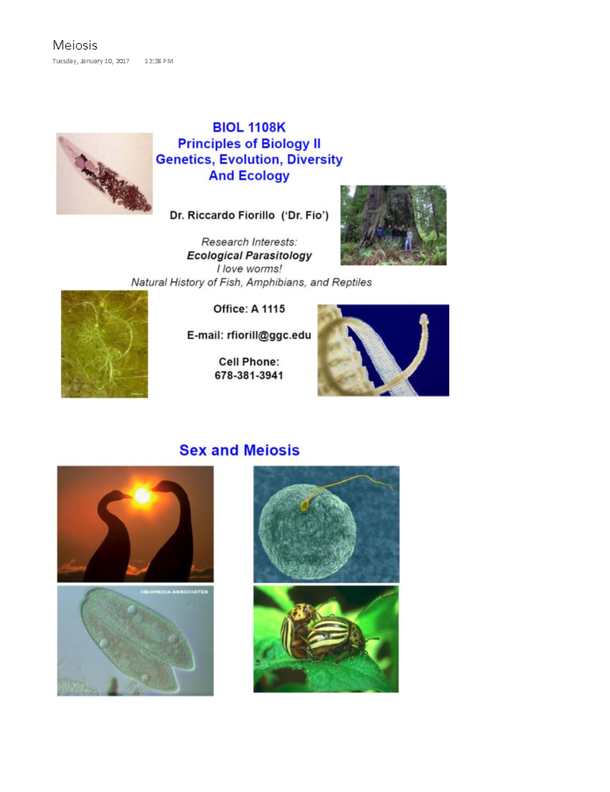 BIOL 1108 - Meiosis - This set of notes includes information on ...