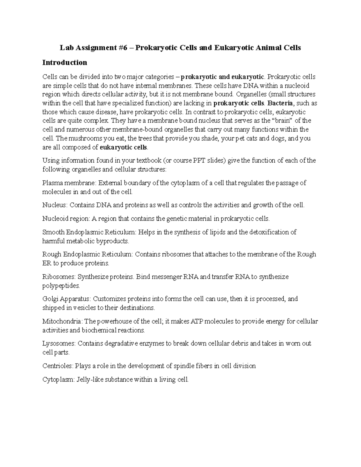 Lab Assignment #6 - Prokaryotic Cells and Eukaryotic Animal Cells ...