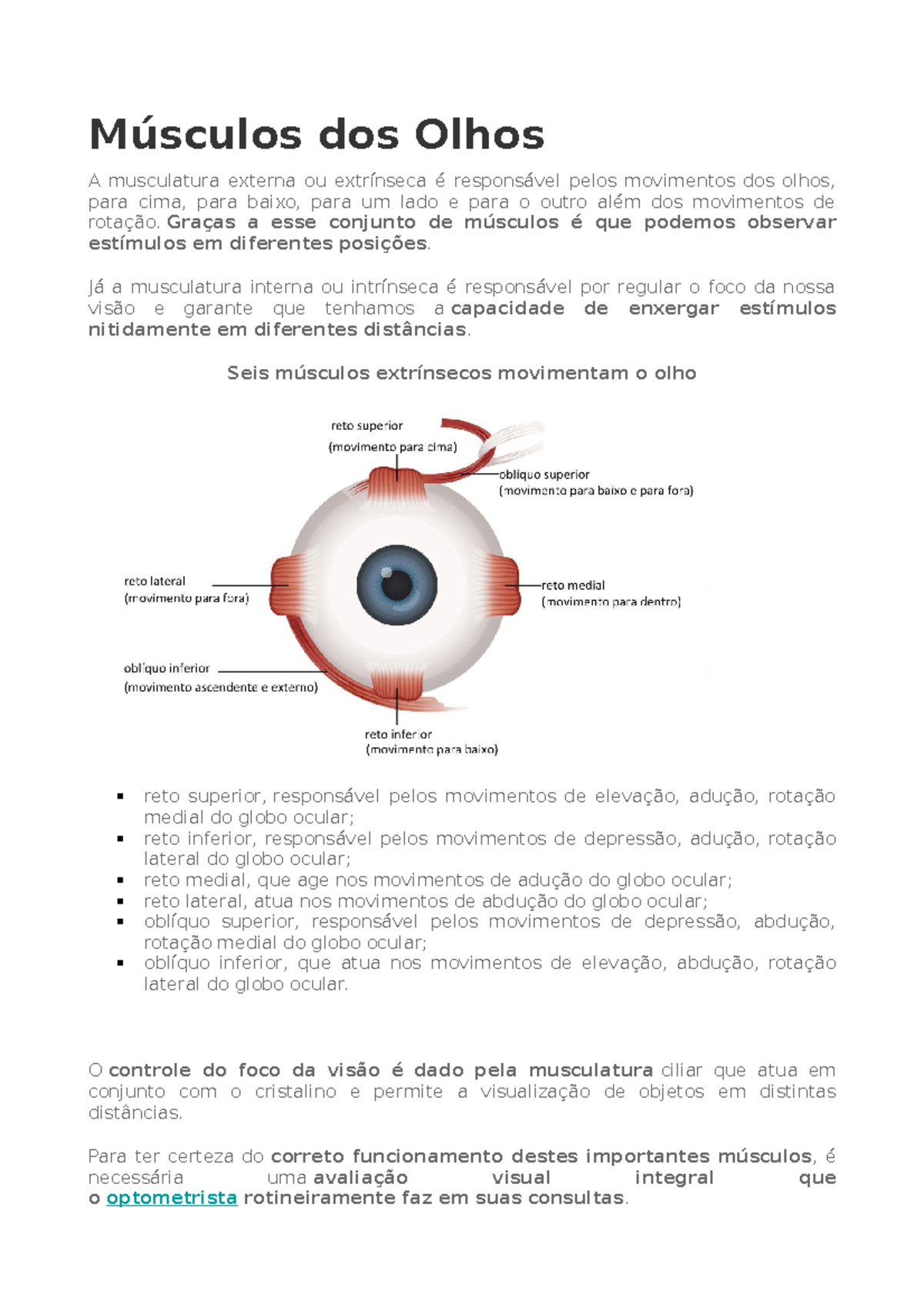 Musculos DO OLHO - Mostrando os músculos dos olhos - Músculos dos Olhos ...