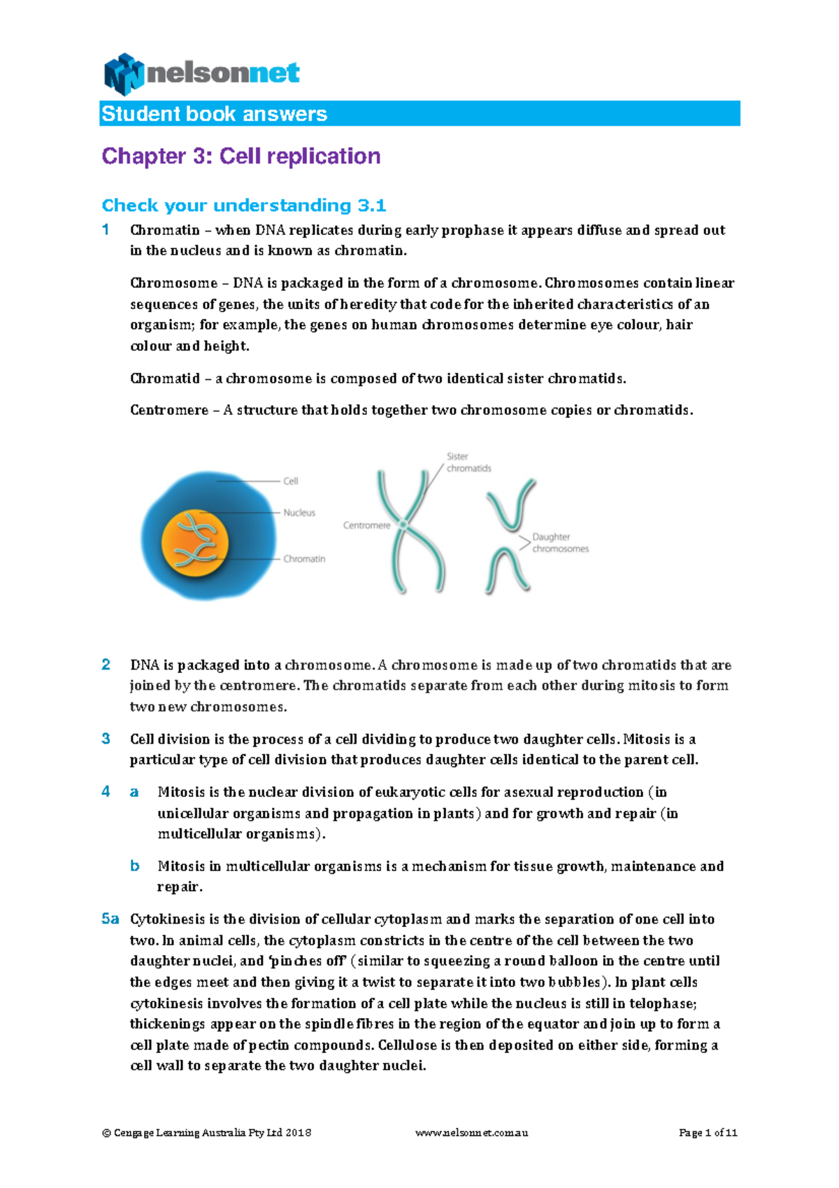 CH 3 answers (Mod 5 6) - Student book answers Chapter 3: Cell ...