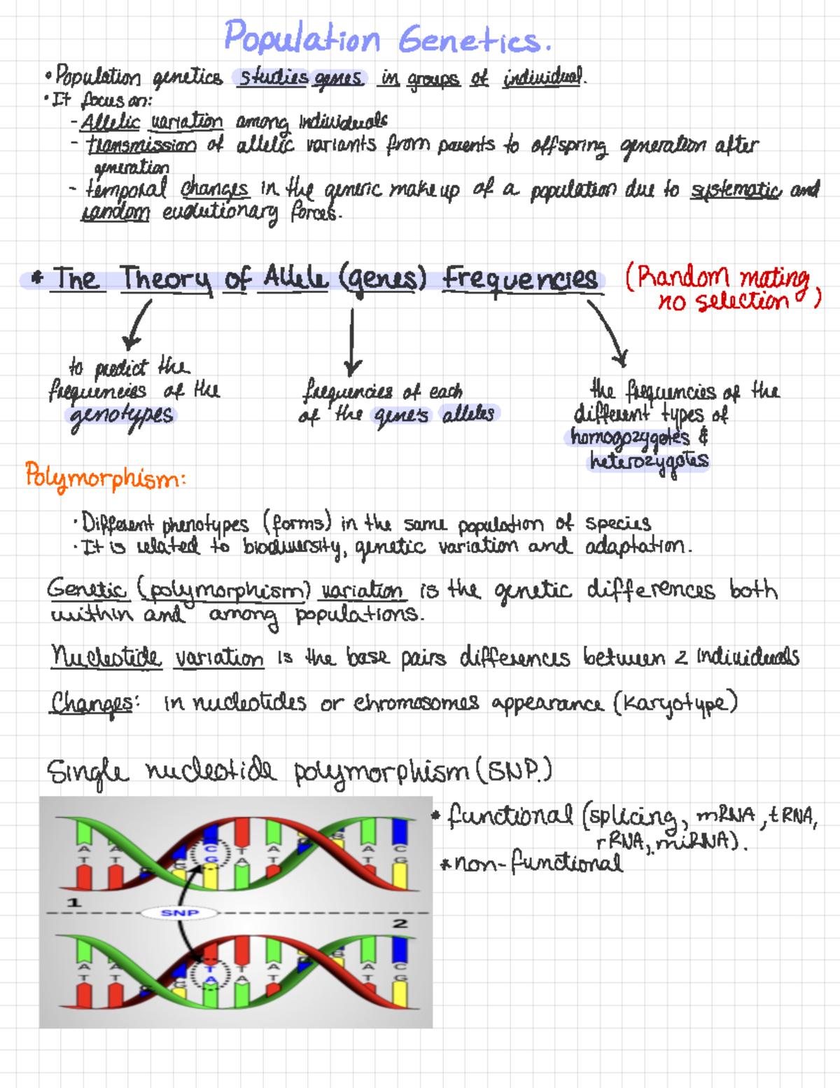 Topic 4 summer 22 exam 1 - Population Genetics. · Population genetics ...