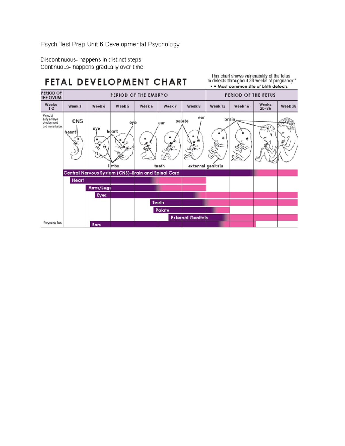Psych Test prep unit 6 Cognitive development - Psych Test Prep Unit 6 ...