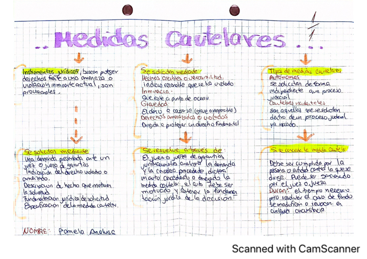 Medidas cautelares 2 - Mapa conceptual - Derecho penal - Studocu