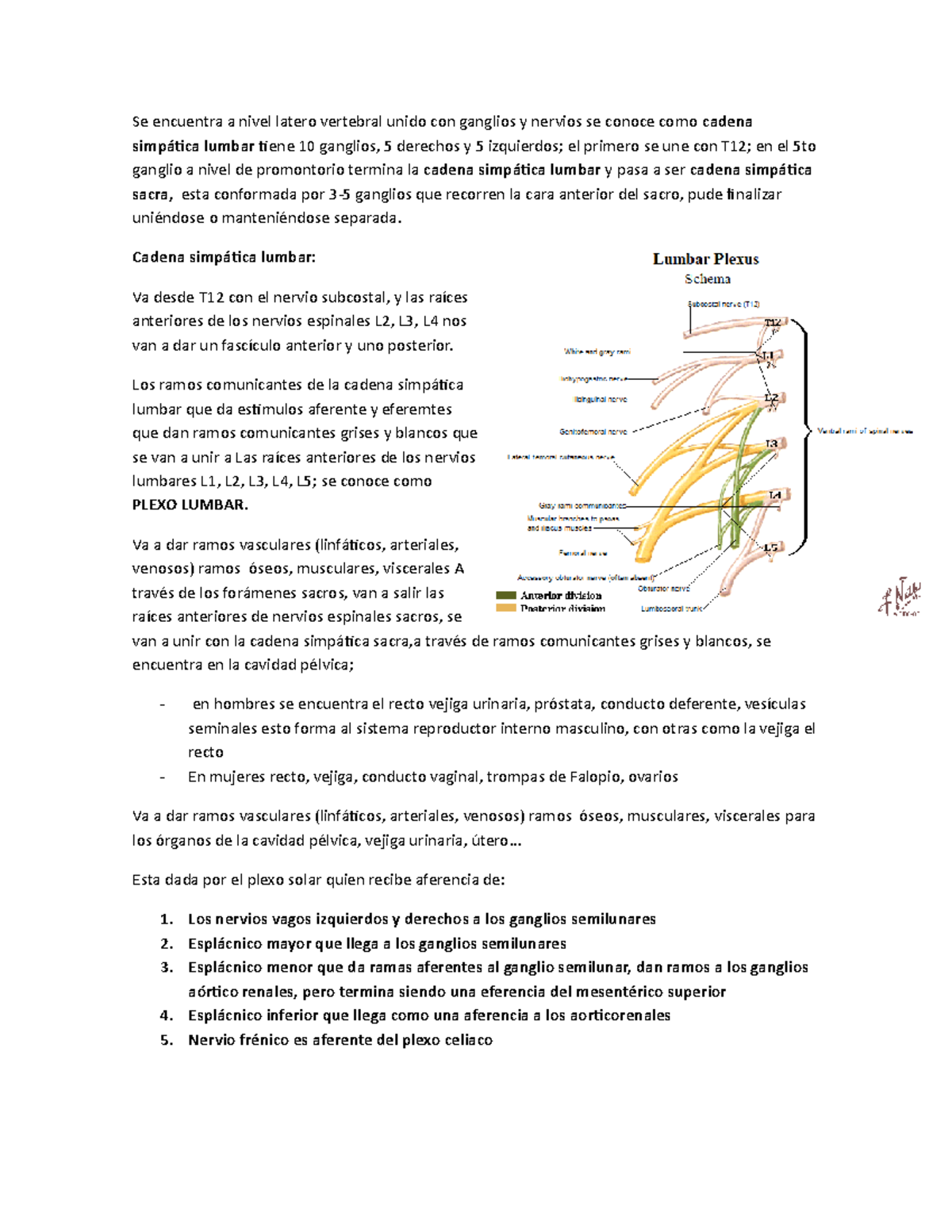 Cadena simpática lumbar y plexo sacro - Se encuentra a nivel latero ...