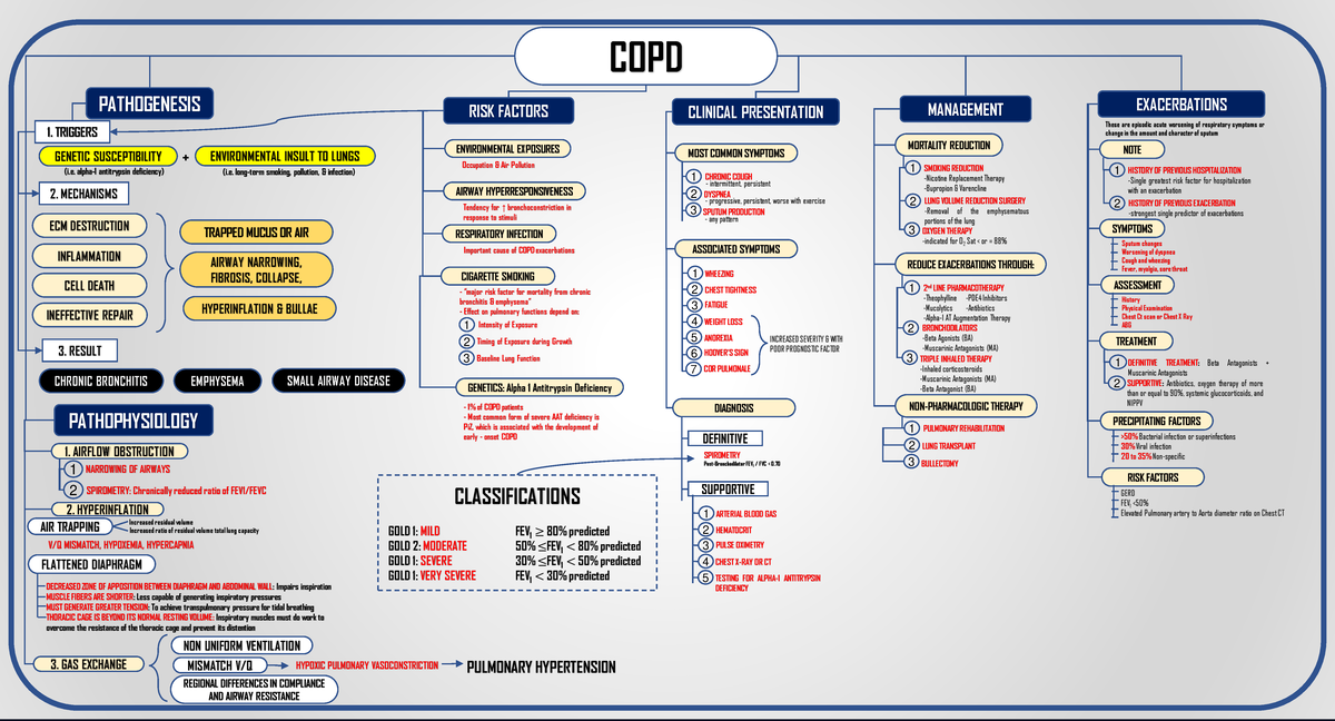 Concept Map on COPD - COPD PATHOGENESIS GENETICSUSCEPTIBILITY ...