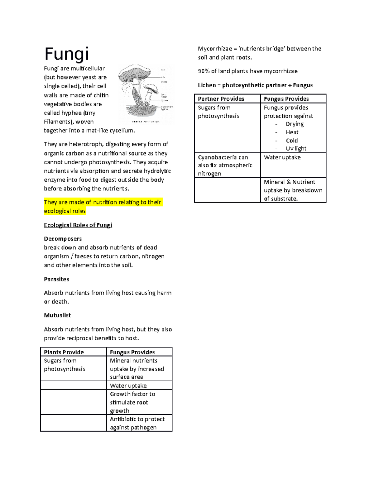 Summary on Fungi - Fungi Fungi are multicellular (but however yeast are ...