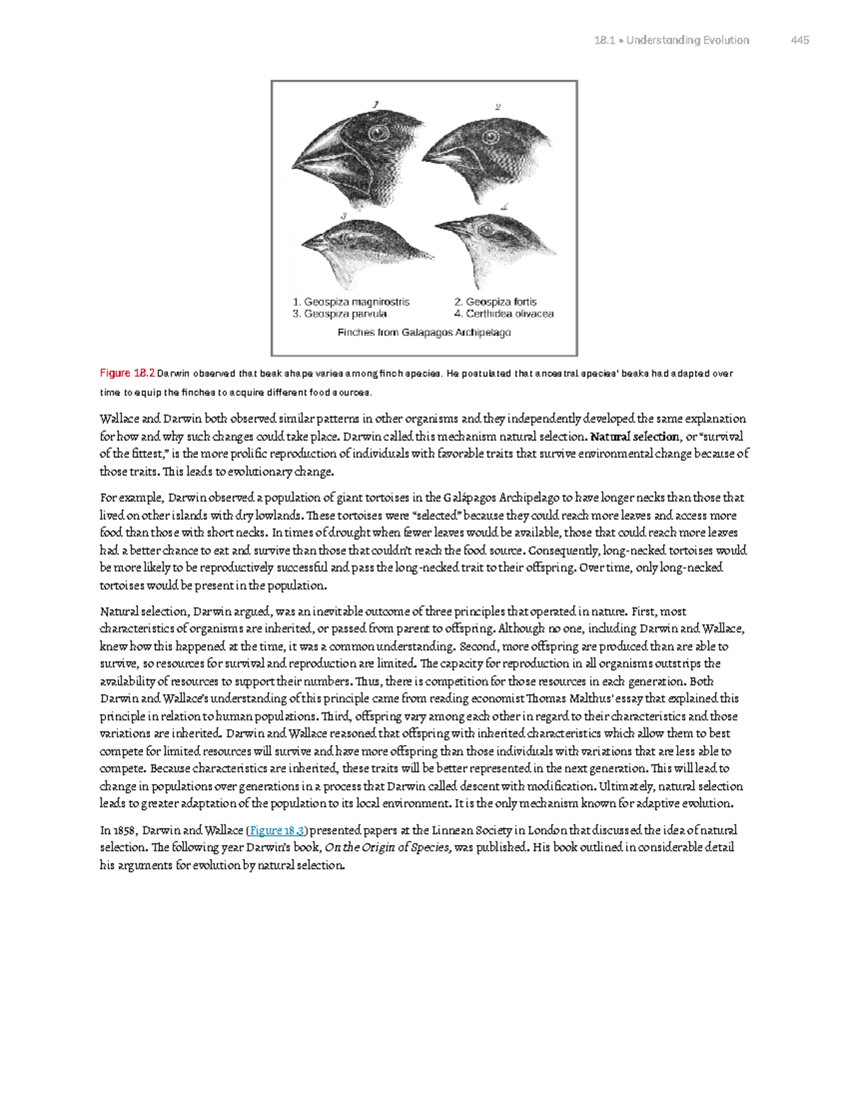 Chapter 18 Evolution and the Origin of Species Part 2 - Figure 18 ...