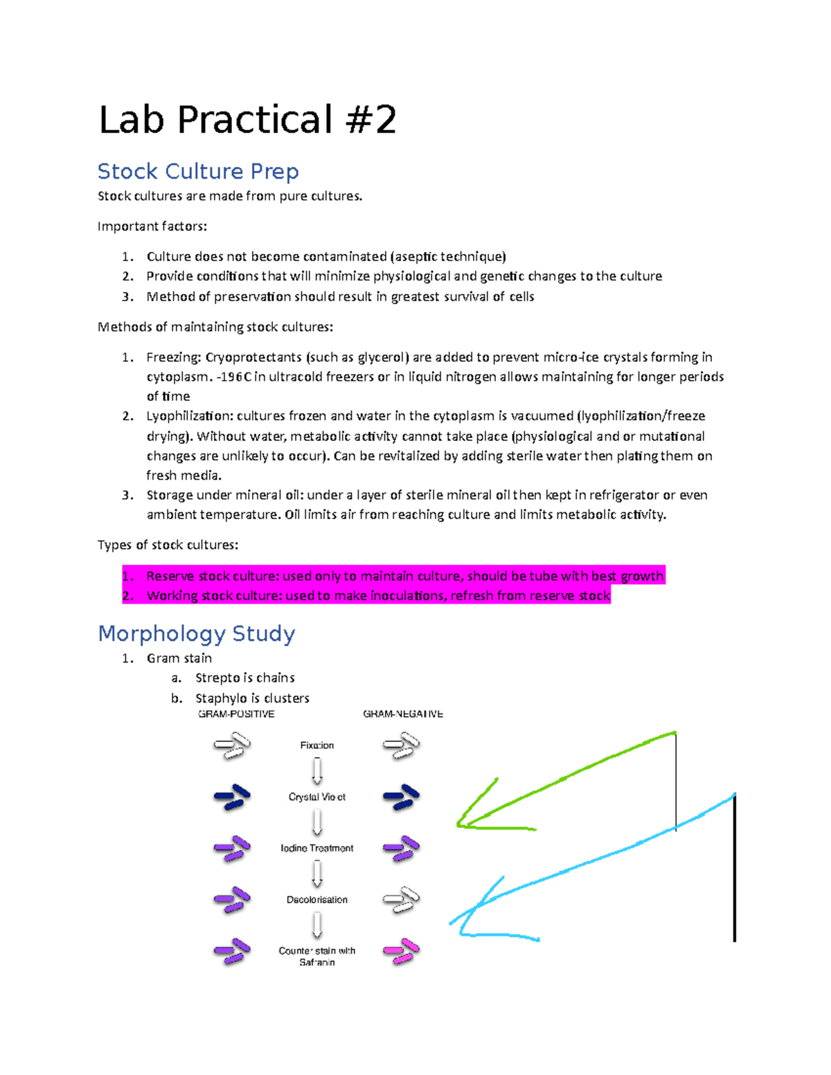 Lab Practical Exam 2 - study guides - Lab Practical Stock Culture Prep ...