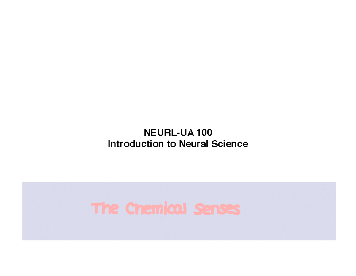 Intro to Neuroscience Lecture Notes - NEURL-UA 100 Introduction to ...
