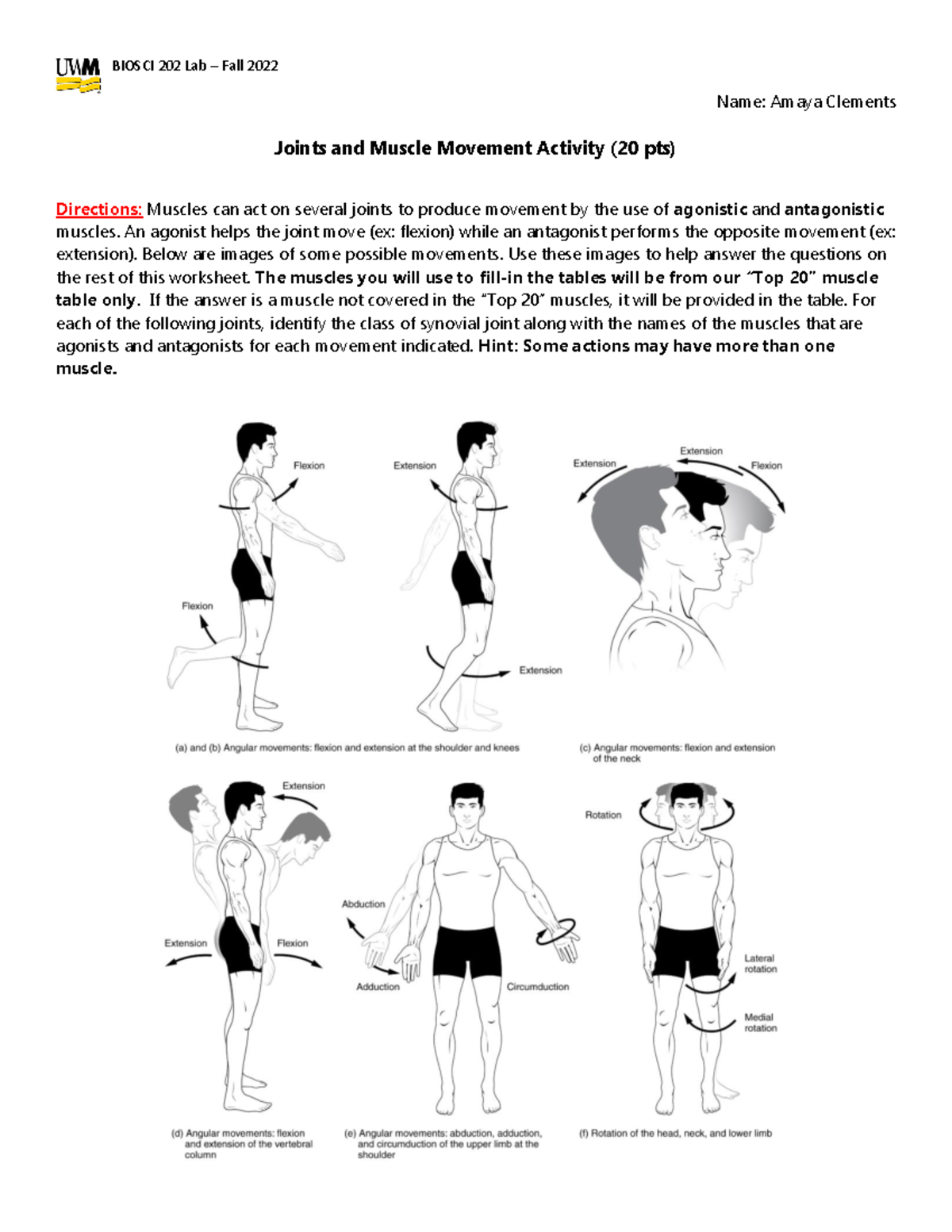 Joints Activity - BIOSCI 202 Lab – Fall 2022 Name: Amaya Clements ...