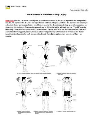 A-fib concept map - Atrial Fibrillation Health Alteration Atrial ...