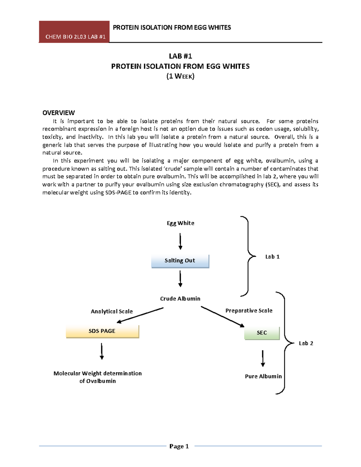 Chemical Biology 2L03 Lab #1 Protein Isolation - CHEM BIO 2L03 LAB LAB ...