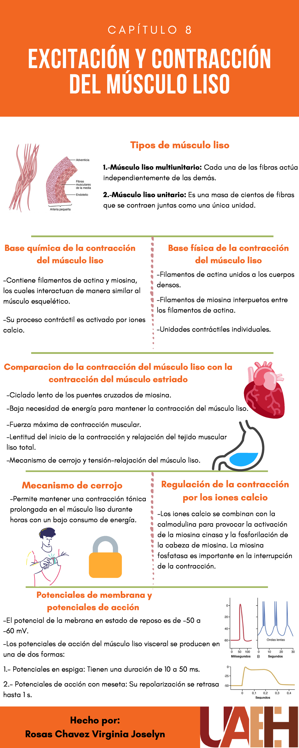 Capítulo 8 Excitación y contracción del músculo liso -Permite mantener ...