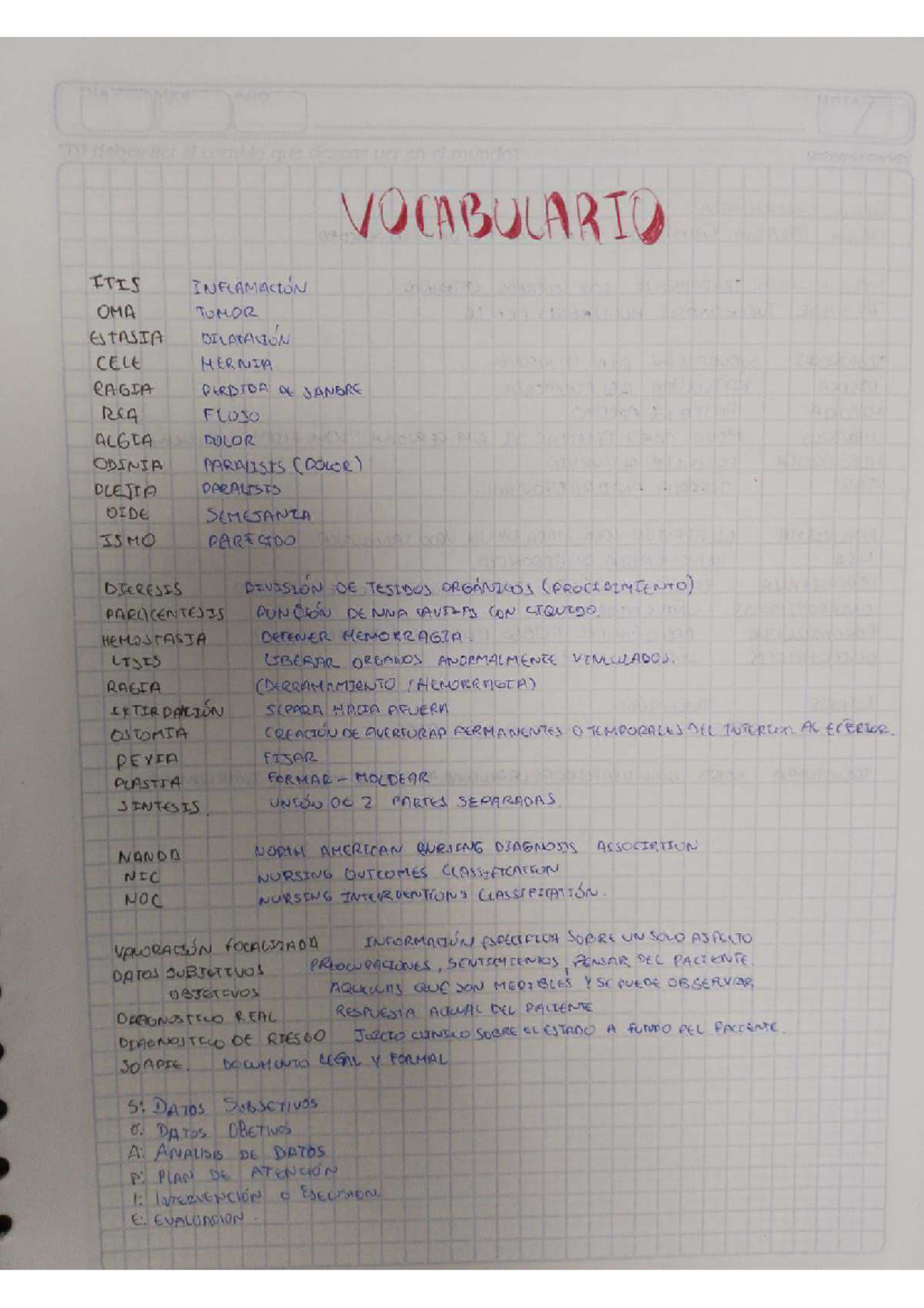 Vocabulario - APUNTES - clinica - Studocu